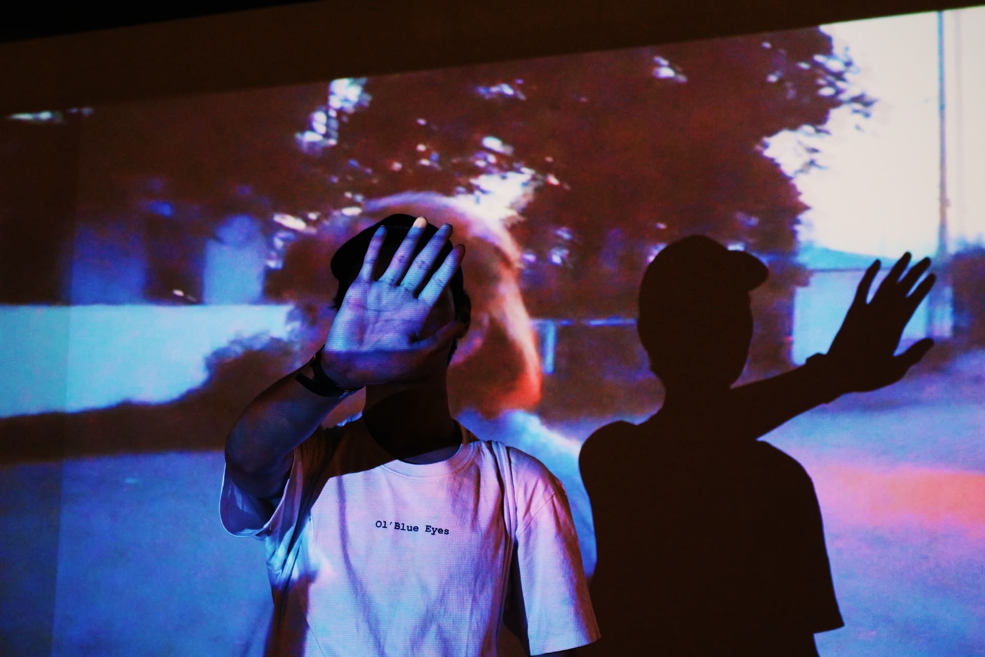 Stargazed Festival: Immersive Experiences And Live Performances