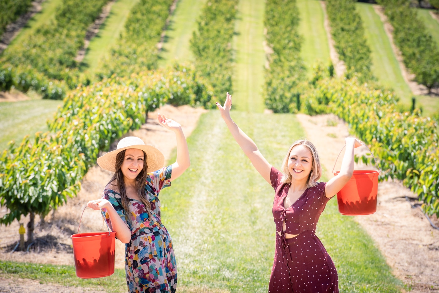 7 Splendid Places To Go Cherry Picking In Melbourne