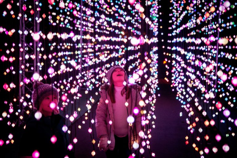 Lightscape Is Back The Royal Botanic Gardens