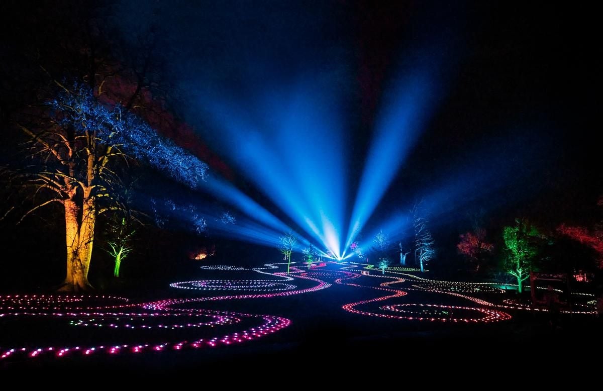 Lightscape Is Back The Royal Botanic Gardens