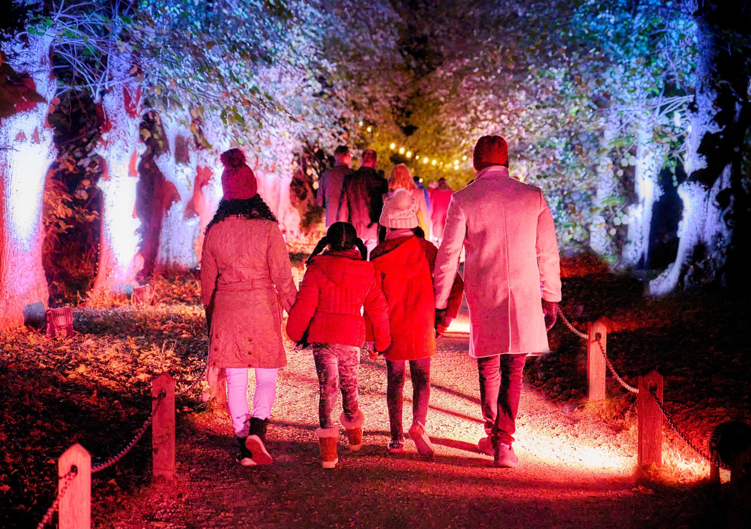 Lightscape Is Now Dazzling The Royal Botanic Gardens