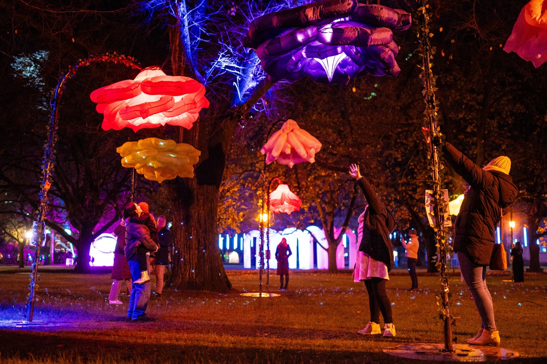 Bendigo Annual Tulip Display - Secret Melbourne