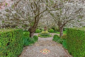 8 Stunning Places To See Cherry Blossoms Around Melbourne