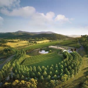 18 Wonderful Wineries To Visit In The Yarra Valley
