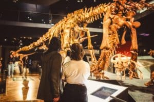 55 Incredible Things To Do In Melbourne This November