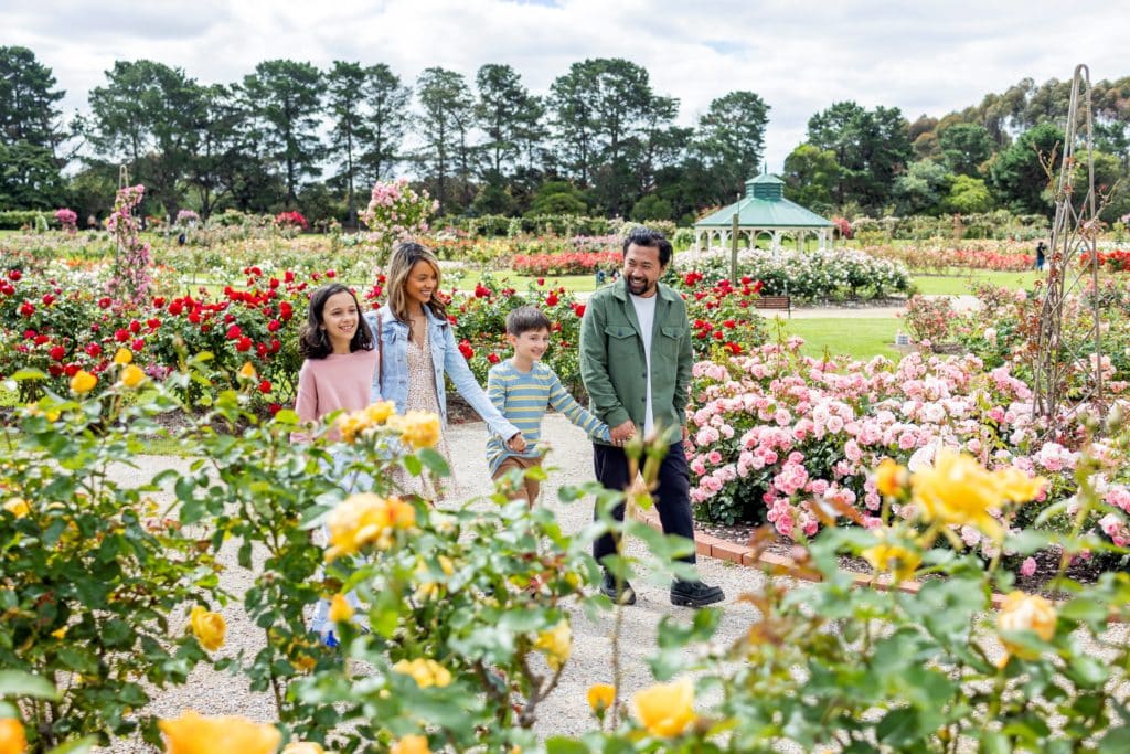 The State Rose & Garden Show Will Bloom This November