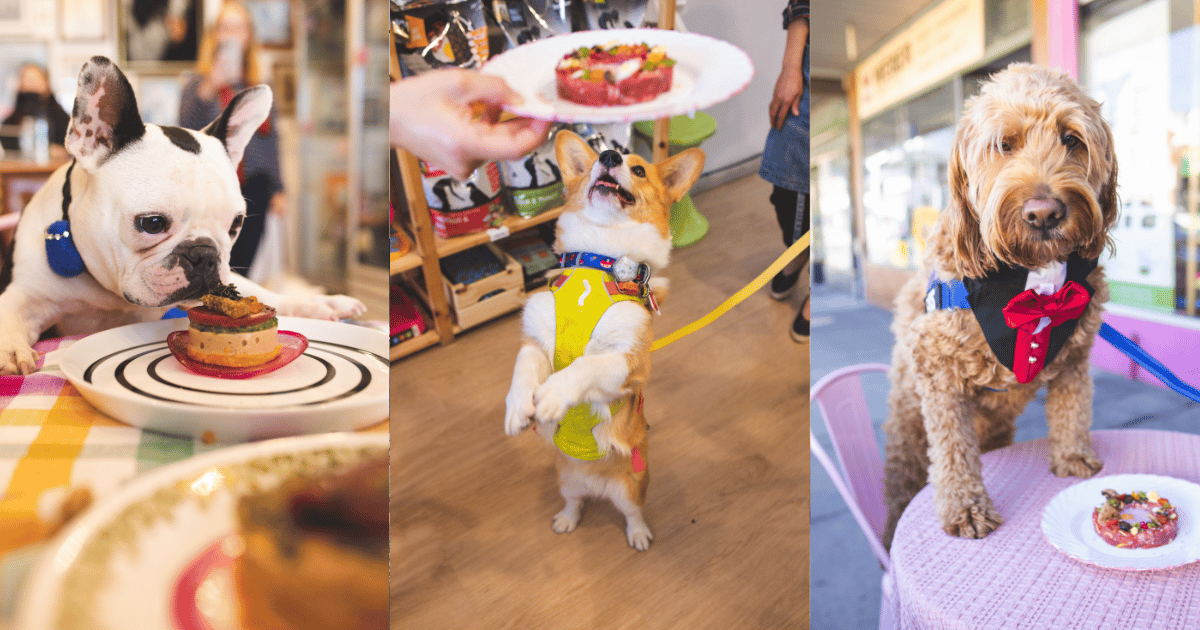 Treat Your Pooch To A Dog.ustation Dinner - Secret Melbourne