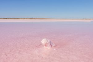 Your Guide To Pretty Pink Lakes Around Victoria