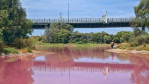 Your Guide To Pretty Pink Lakes Around Victoria