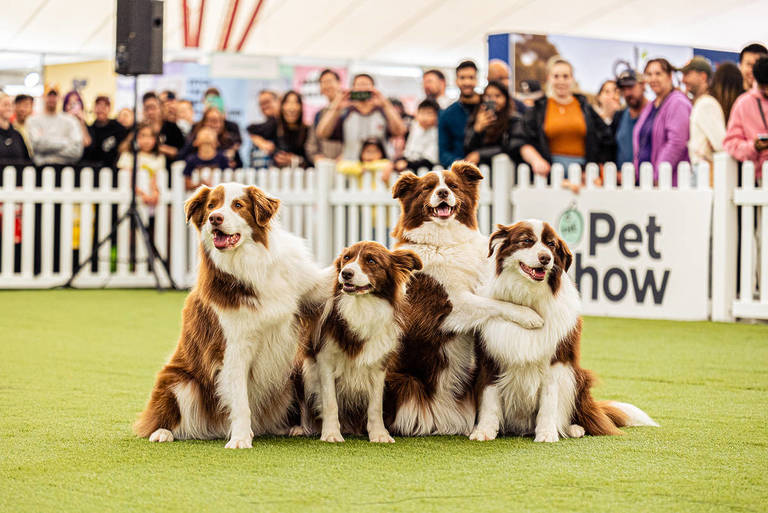 The Most Marvellous Things To Do In Melbourne This March