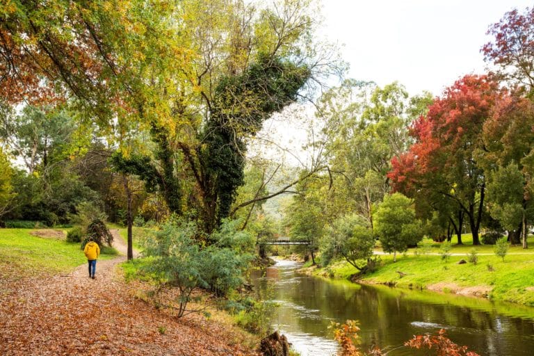 The Best Places To See Autumn Leaves In Melbourne And Victoria