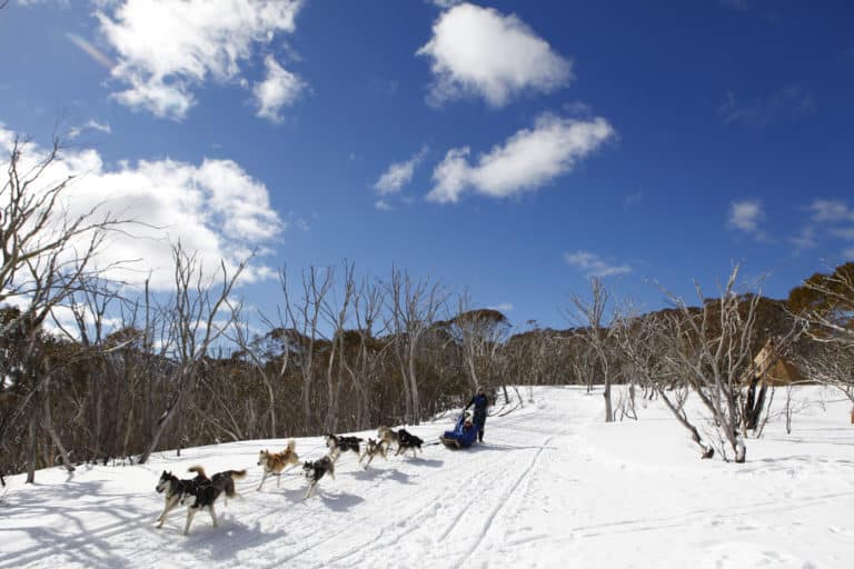 Snow In Victoria: Where To See It And Fun Things To Do - Secret Melbourne