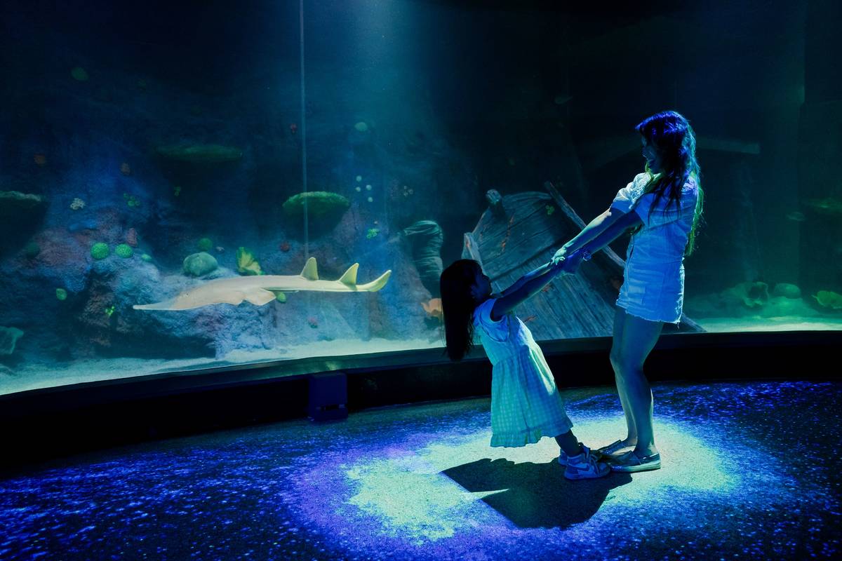 The Oceanarium At SEA LIFE Melbourne Aquarium Is Now Open