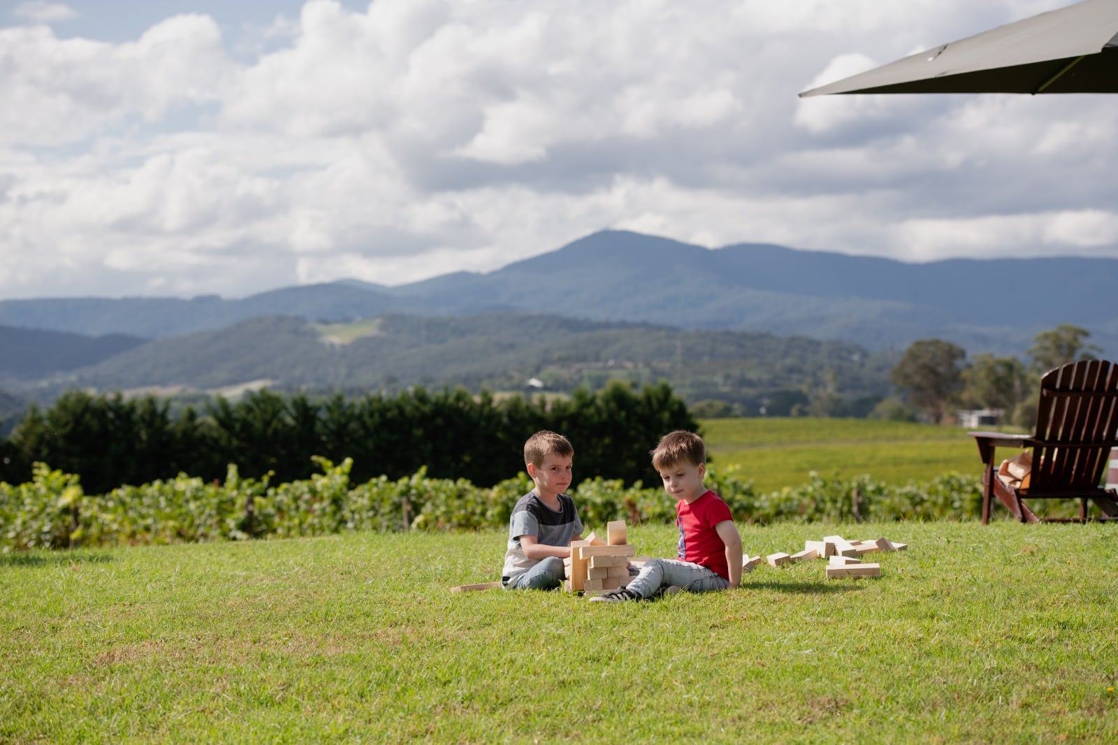 Cinema In The Vines At Tokar Estate - Secret Melbourne