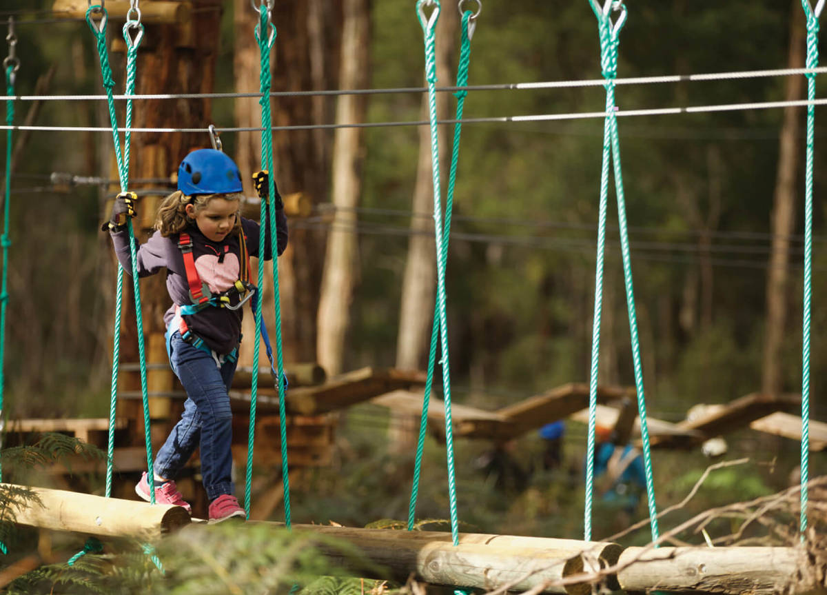 School Holiday Activities In Melbourne That Are Fun For All Ages