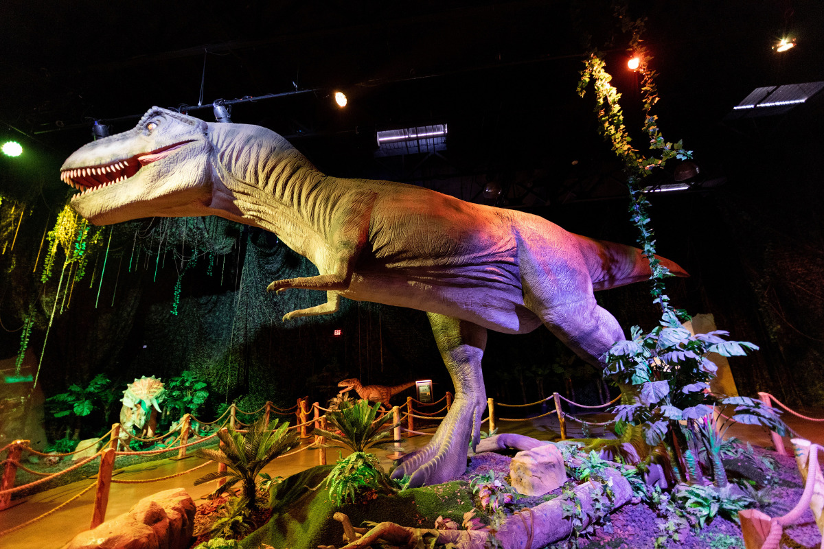 Our Review On The Dinos Alive Immersive Experience
