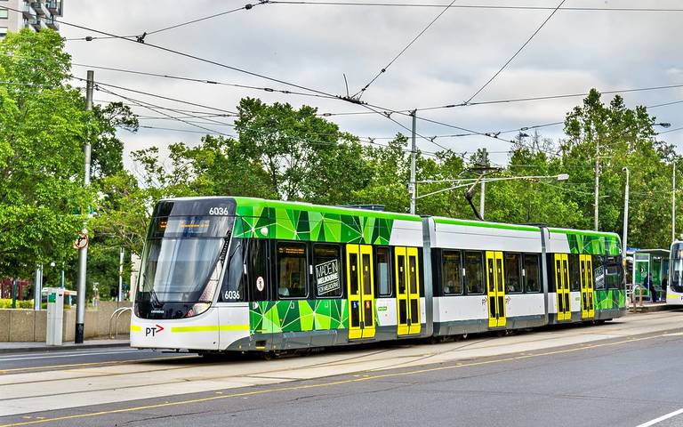 No Myki Needed! Public Transport Will Be Free For One Month In Victoria ...