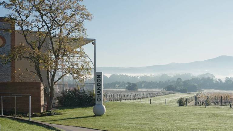 18 Wonderful Wineries To Visit In The Yarra Valley