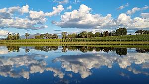 18 Wonderful Wineries To Visit In The Yarra Valley