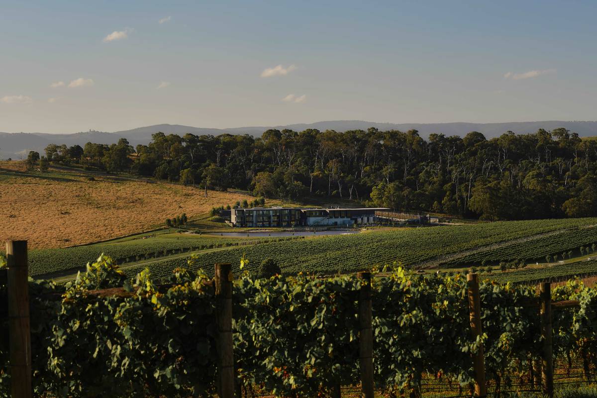 18 Wonderful Wineries To Visit In The Yarra Valley