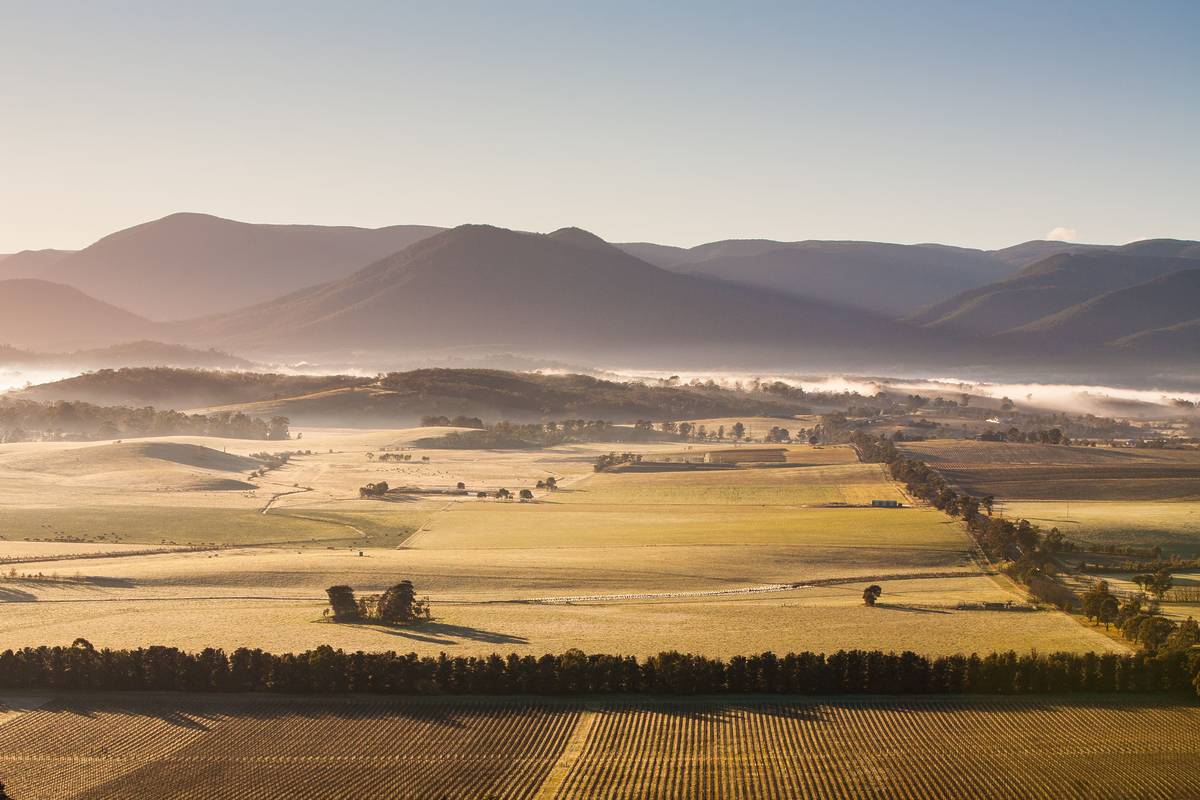 18 Wonderful Wineries To Visit In The Yarra Valley