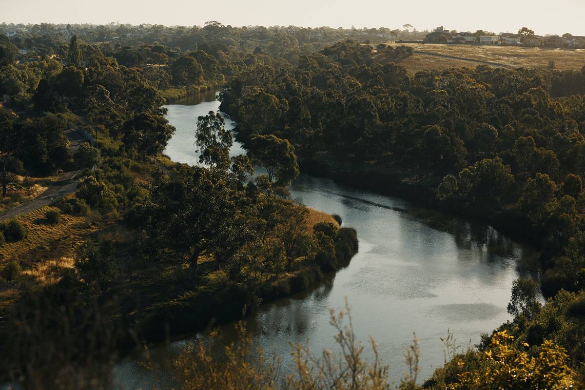 RISING Festival - Highlights, Dates And More - Secret Melbourne