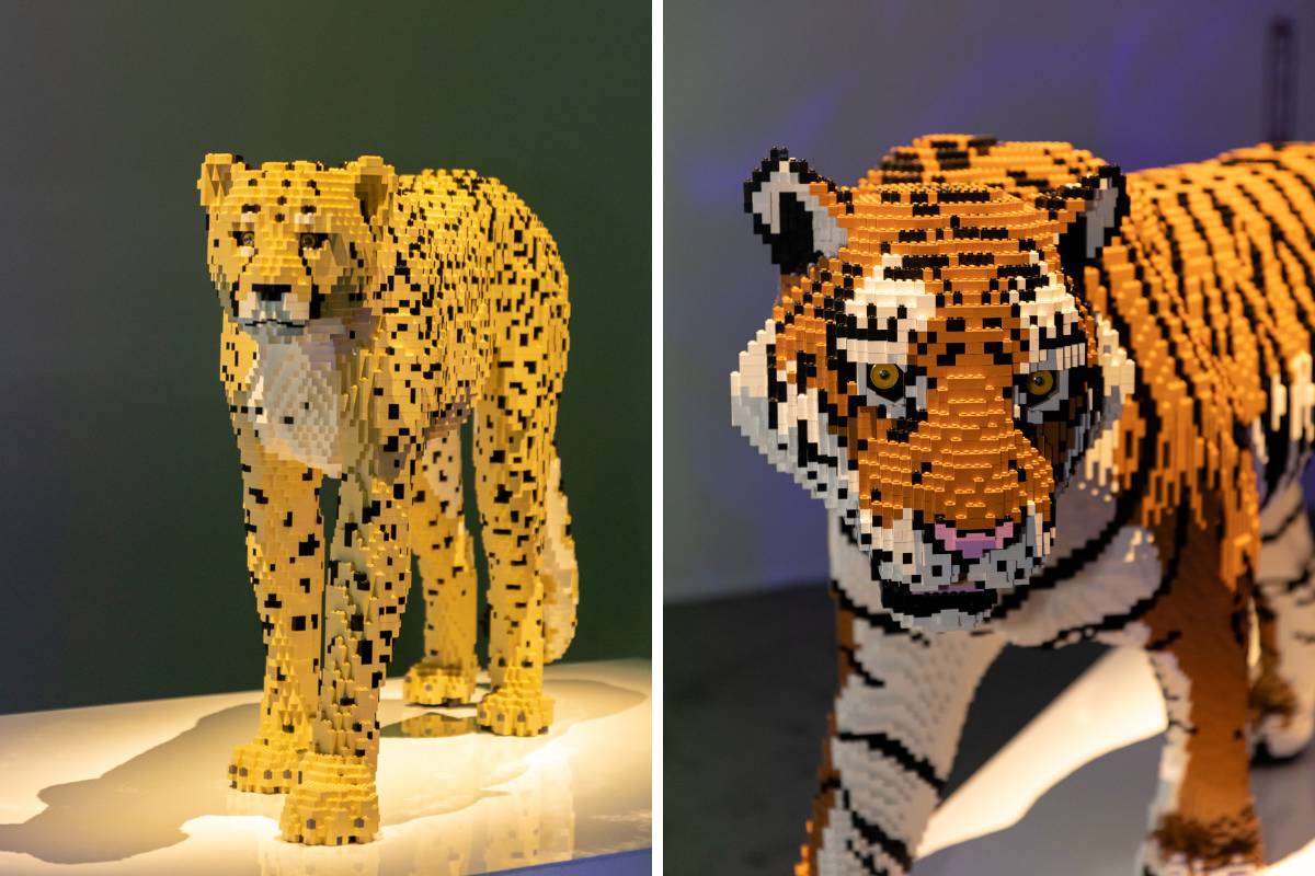 Visit The Art Of The Brick Immersive Experience In Melbourne