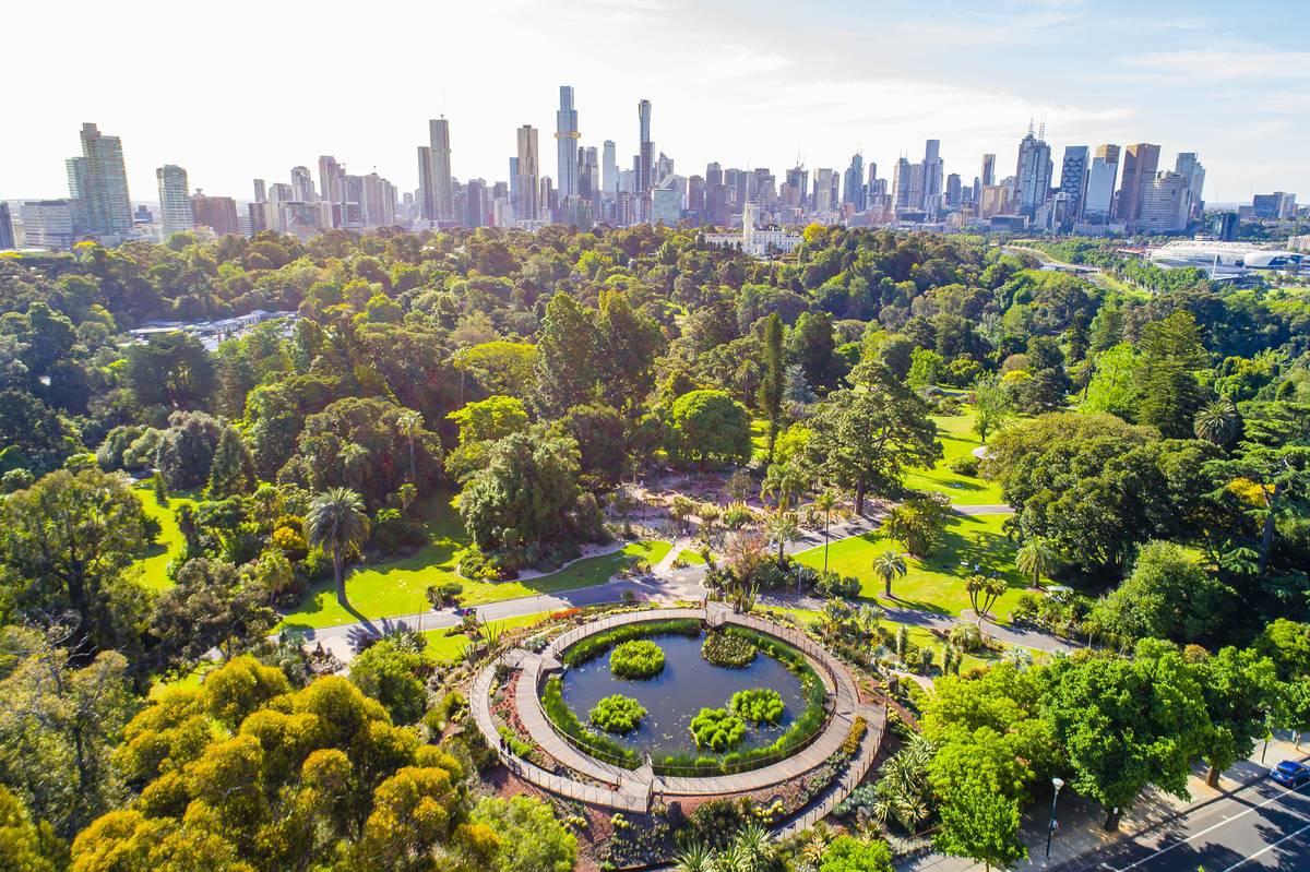 The Best Things To Do In Melbourne This November