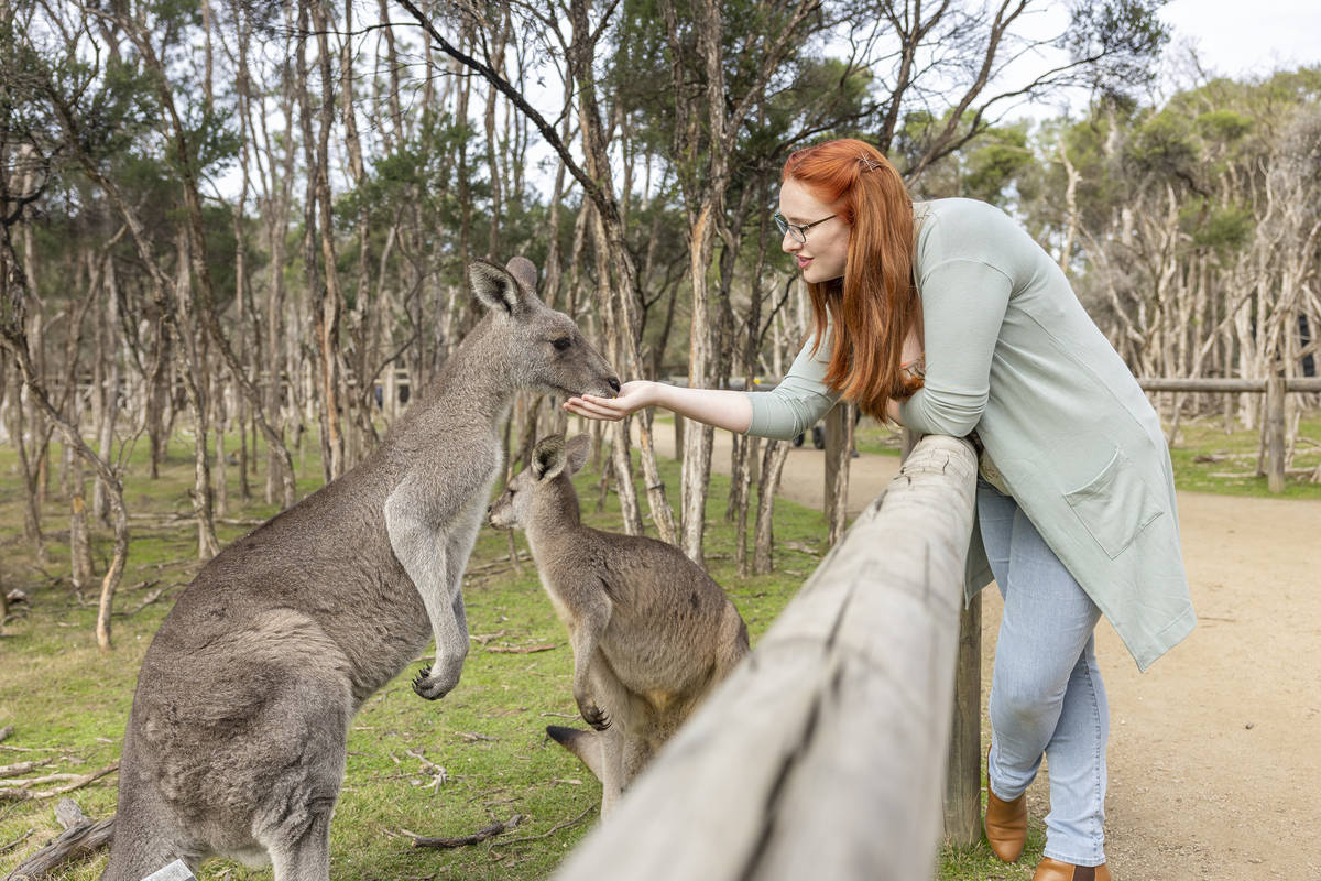 The Best Wildlife Experiences For You To Try In Victoria