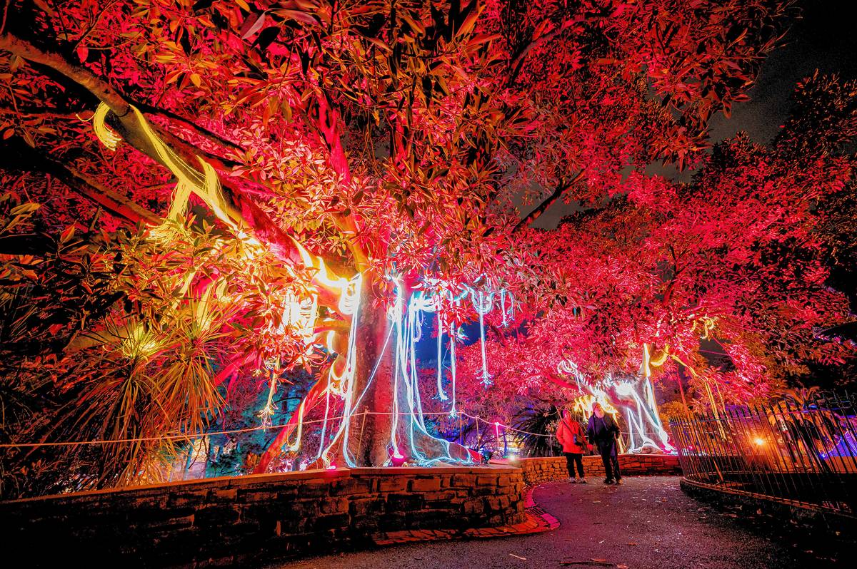 The Most Wonderful Winter Light Experiences To Try In Victoria