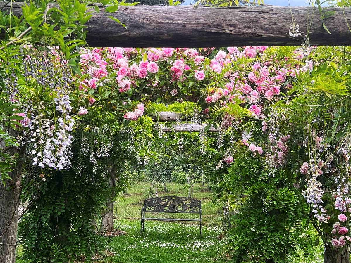 Take A Stroll Through Some Stunning Private Gardens Around Victoria ...