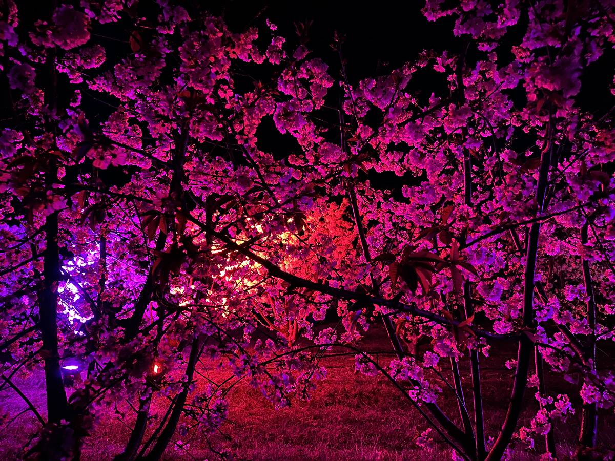 The Best Things To Do In Melbourne This Weekend