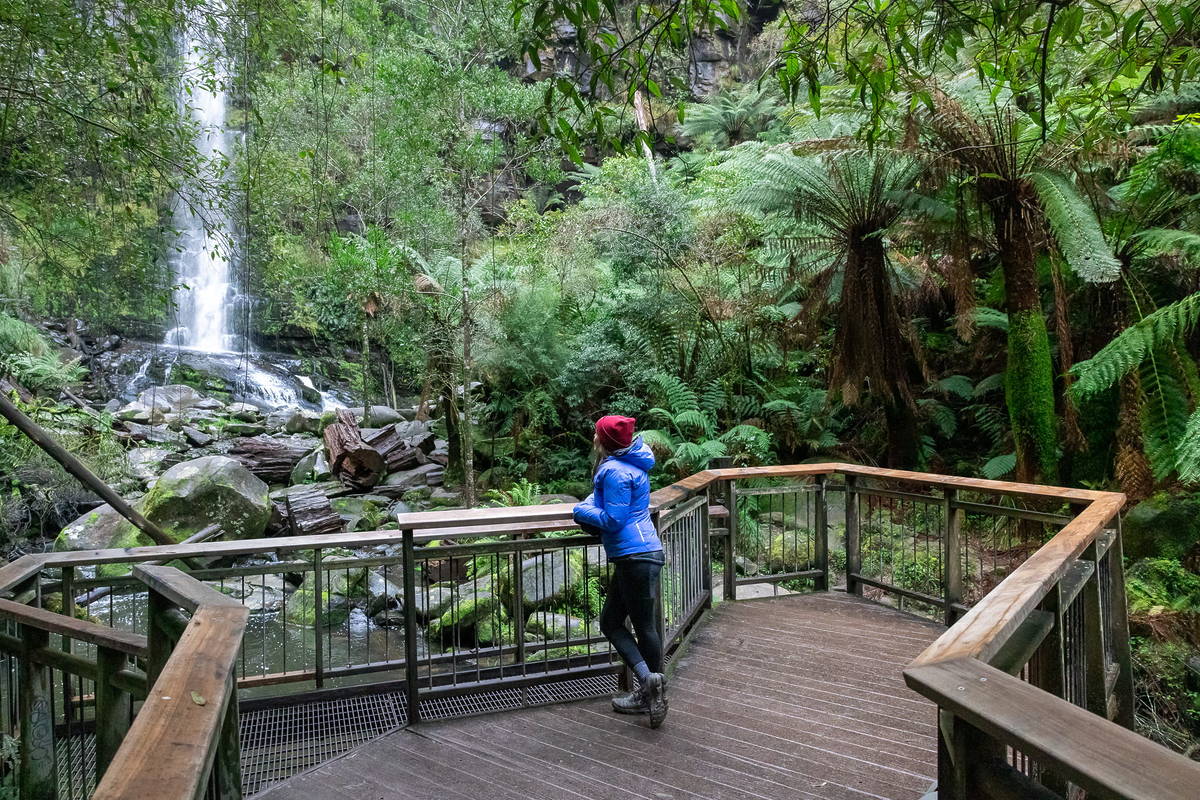 Erskine Falls In The Otways Has Been Upgraded - Secret Melbourne