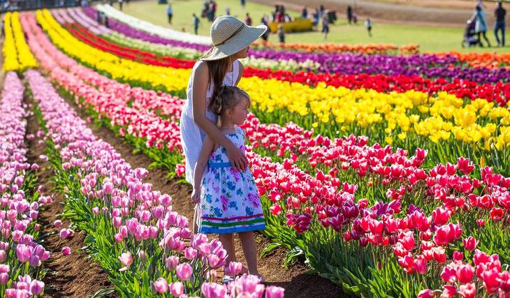 Secret Melbourne - Your Complete Guide To Things To Do In Melbourne