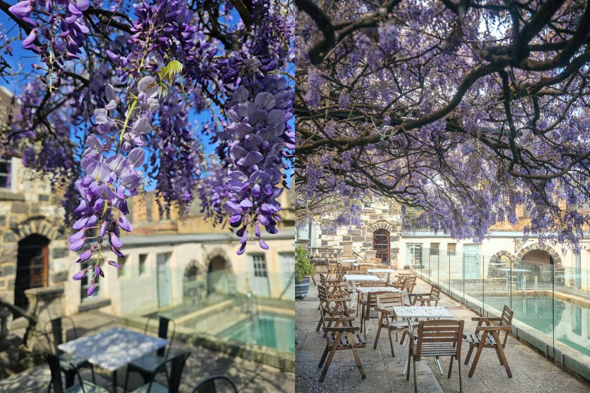 The Most Enchanting Flower Festivals To See Around Melbourne And ...