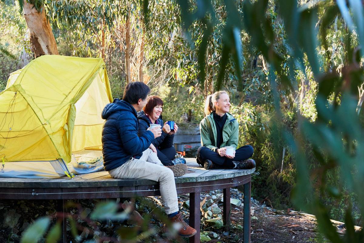 Camping Will Be Free In All National Parks And State Forests In ...