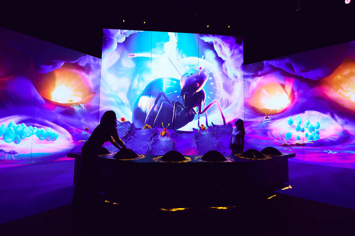 The Most Marvellous Things To Do In Melbourne This March