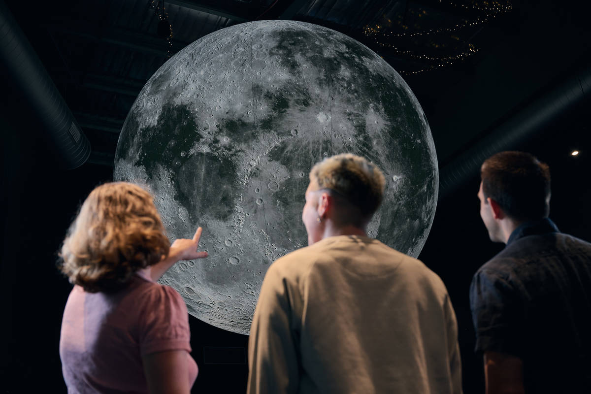 School Holiday Activities In Melbourne That Are Fun For All Ages