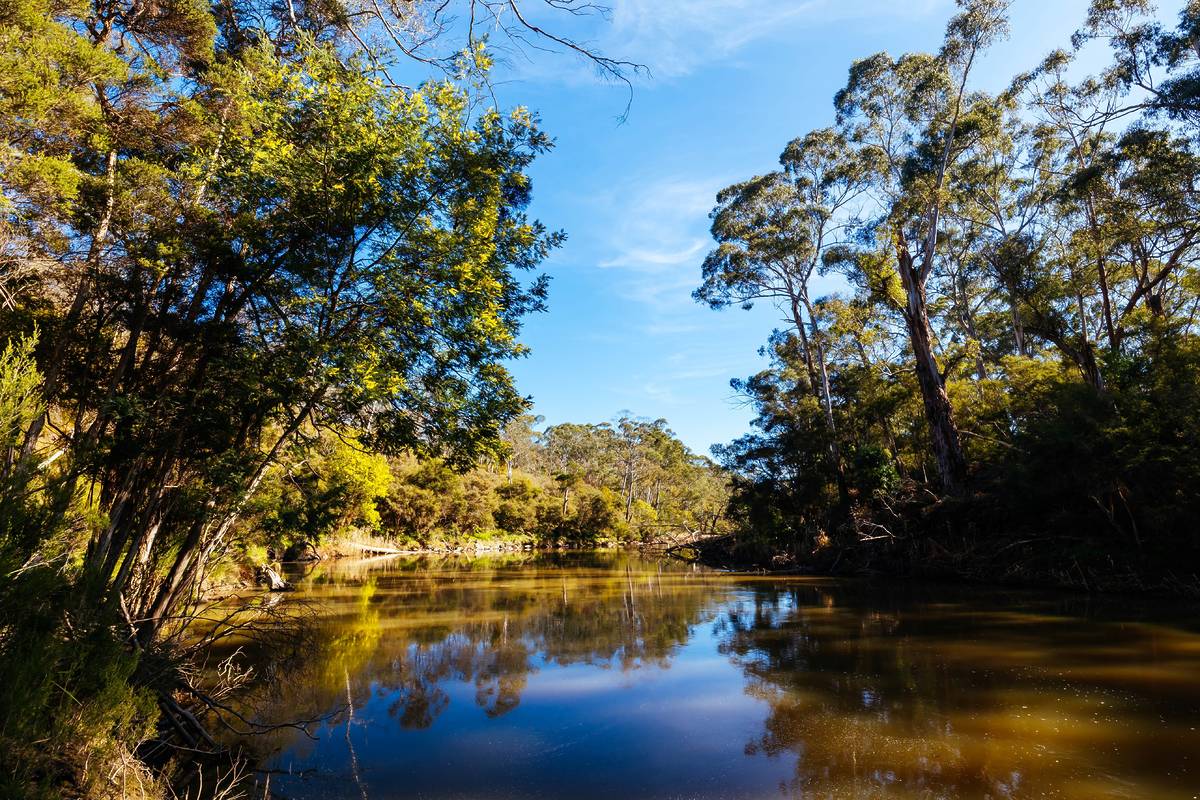 Stroll Along One Of These Tranquil Nature Wellness Trails Near Melbourne