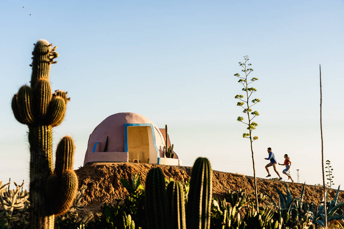 Australia's Largest Cactus Garden Is Just Three Hours Away From Melbourne