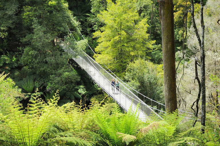 The Most Enchanting Forest Walks To Try In Victoria