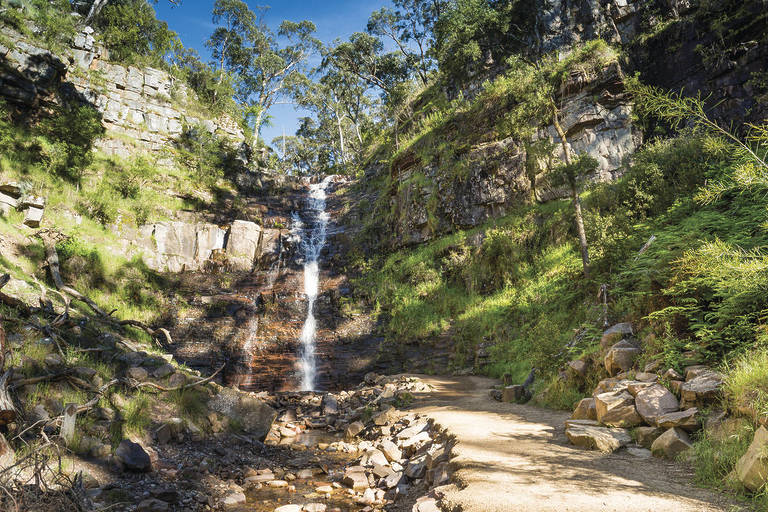 The Most Enchanting Forest Walks To Try In Victoria