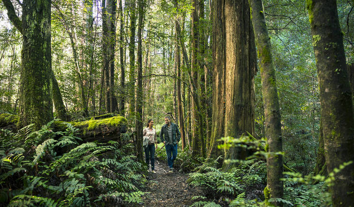 Secret Melbourne - Your Complete Guide To Things To Do In Melbourne