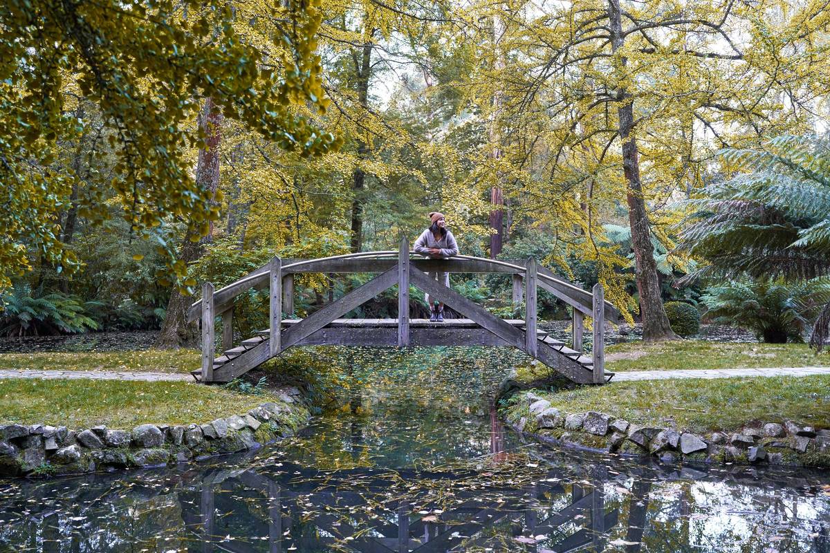The Prettiest Autumn Gardens To Visit Near Melbourne - Secret Melbourne
