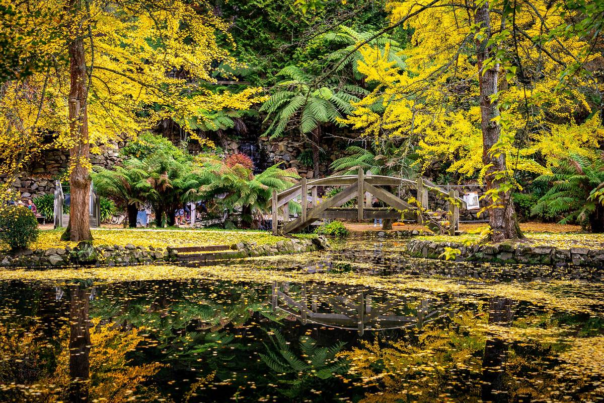 This Fairytale Garden 1 Hour Away From Melbourne Is A Must-Visit In ...