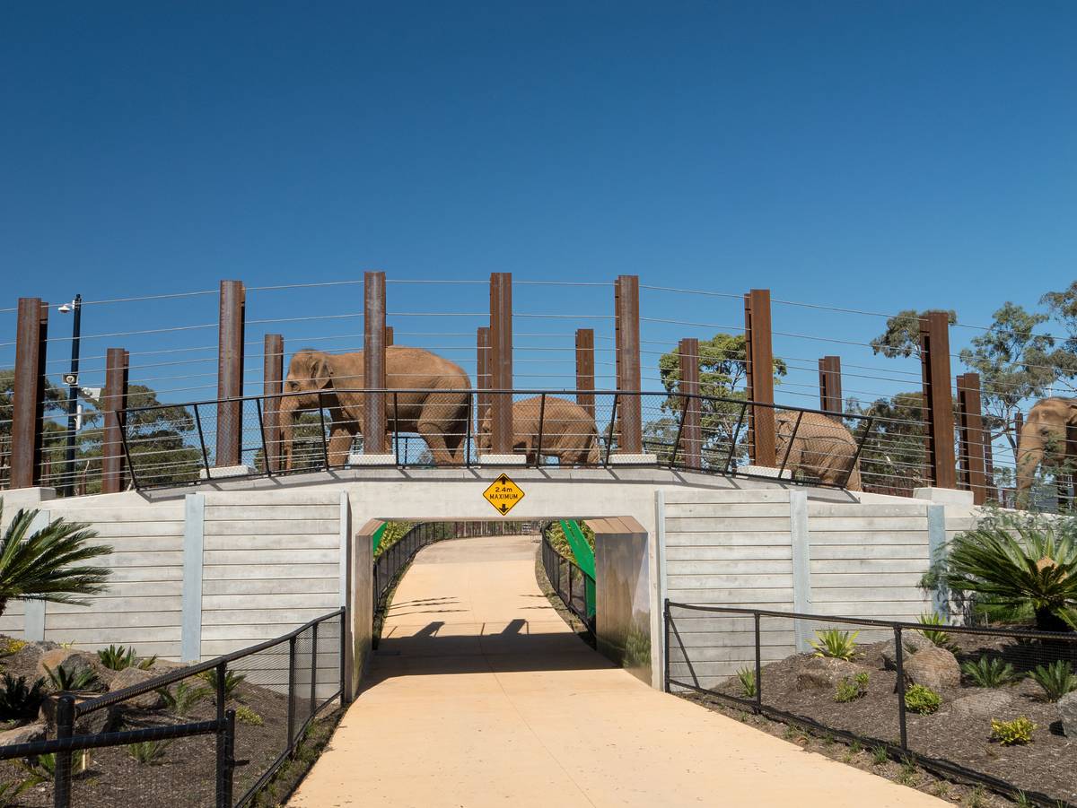 The Elephant Trail Is Now Open At Werribee Open Range Zoo