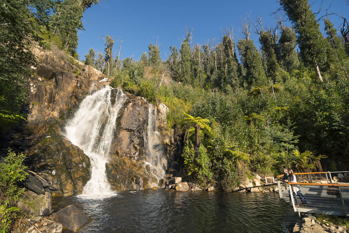 Steavenson Falls - One Of The Highest Waterfalls In Victoria