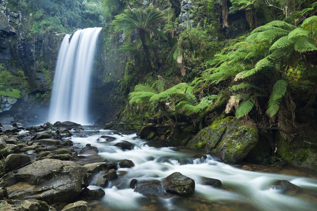 The Best Waterfalls To See In The Otways During Winter
