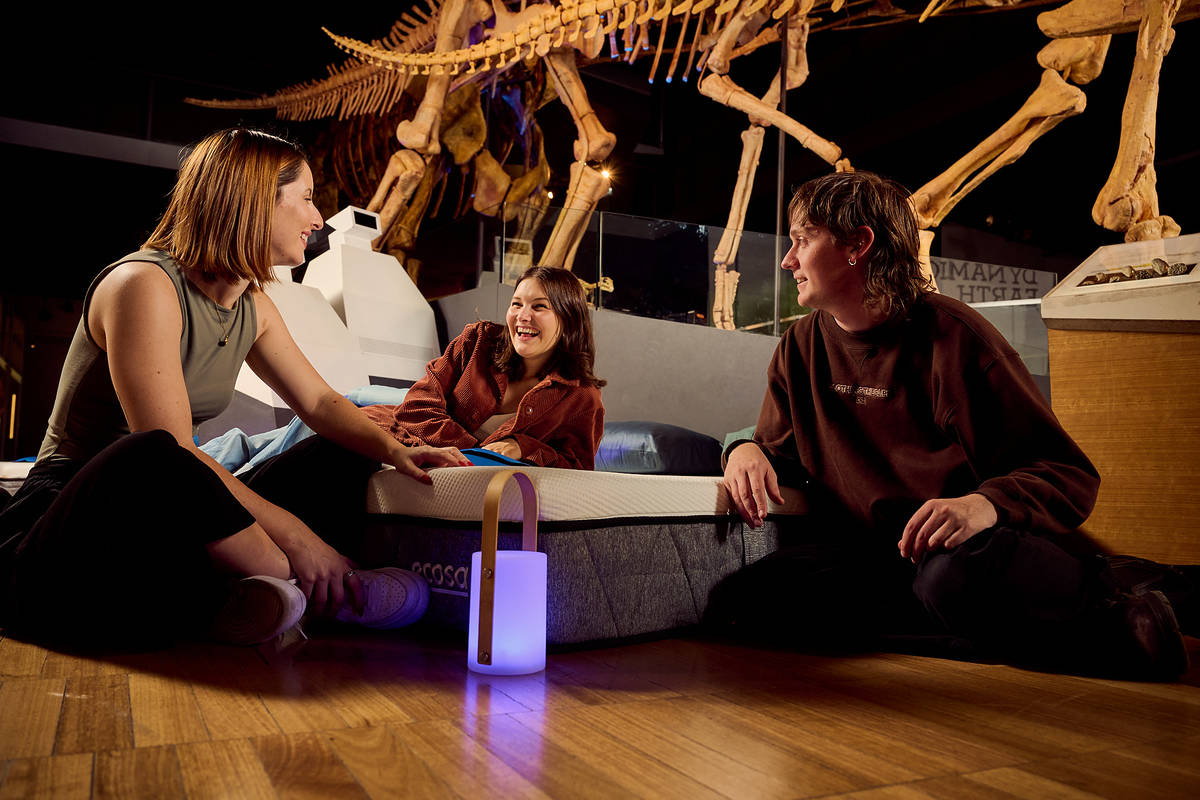 Museum Sleepovers: Stay Overnight At Melbourne Museum