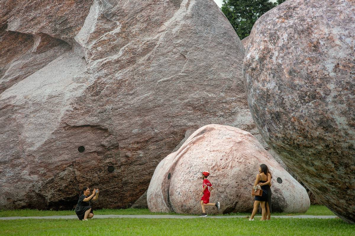 Iwagumi Air Scape By ENESS - Secret Melbourne